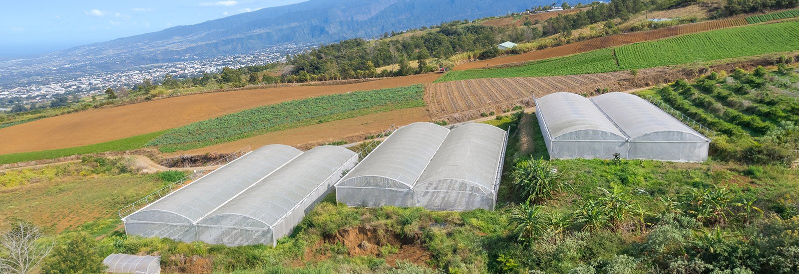 Coroi Agri : solutions en fournitures agricoles à La Réunion